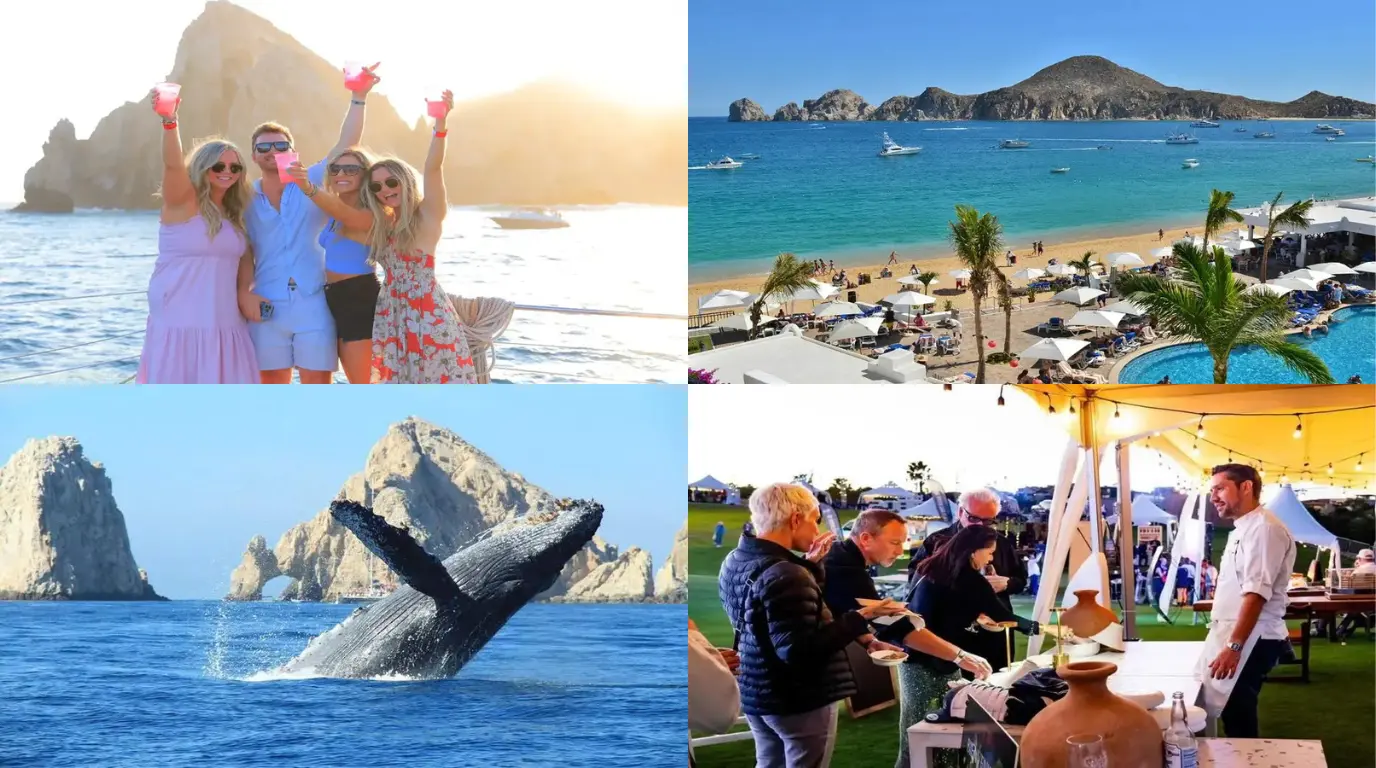 Los Cabos in December – Weather, Events & Top Things to Do for Your ...